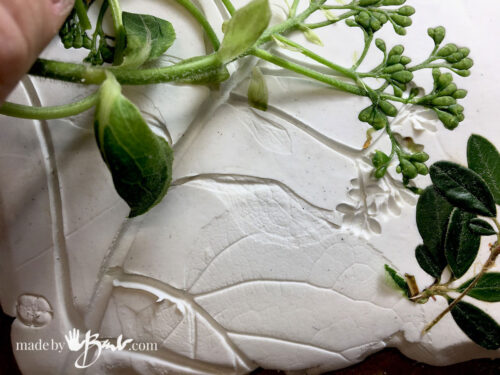 Botanical Relief Casting in Plaster - Made By Barb - nature design