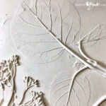 Botanical Relief Casting in Plaster - Made By Barb - nature design