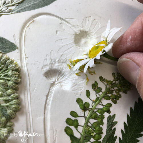 Botanical Relief Casting in Plaster - Made By Barb - nature design