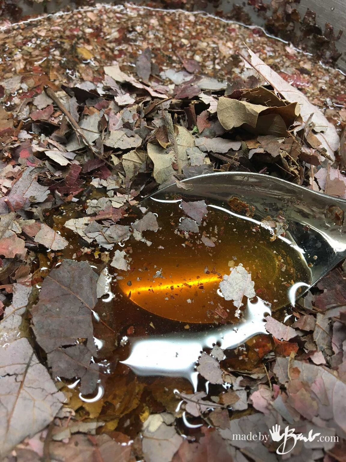 How to: Tone Cyanotypes with natural Tannins - MadeByBarb - print