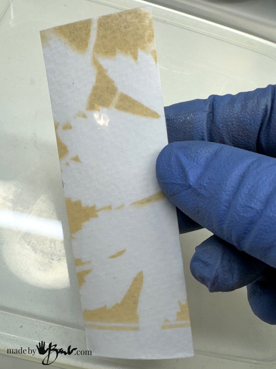 How to: Tone Cyanotypes with natural Tannins - MadeByBarb - print