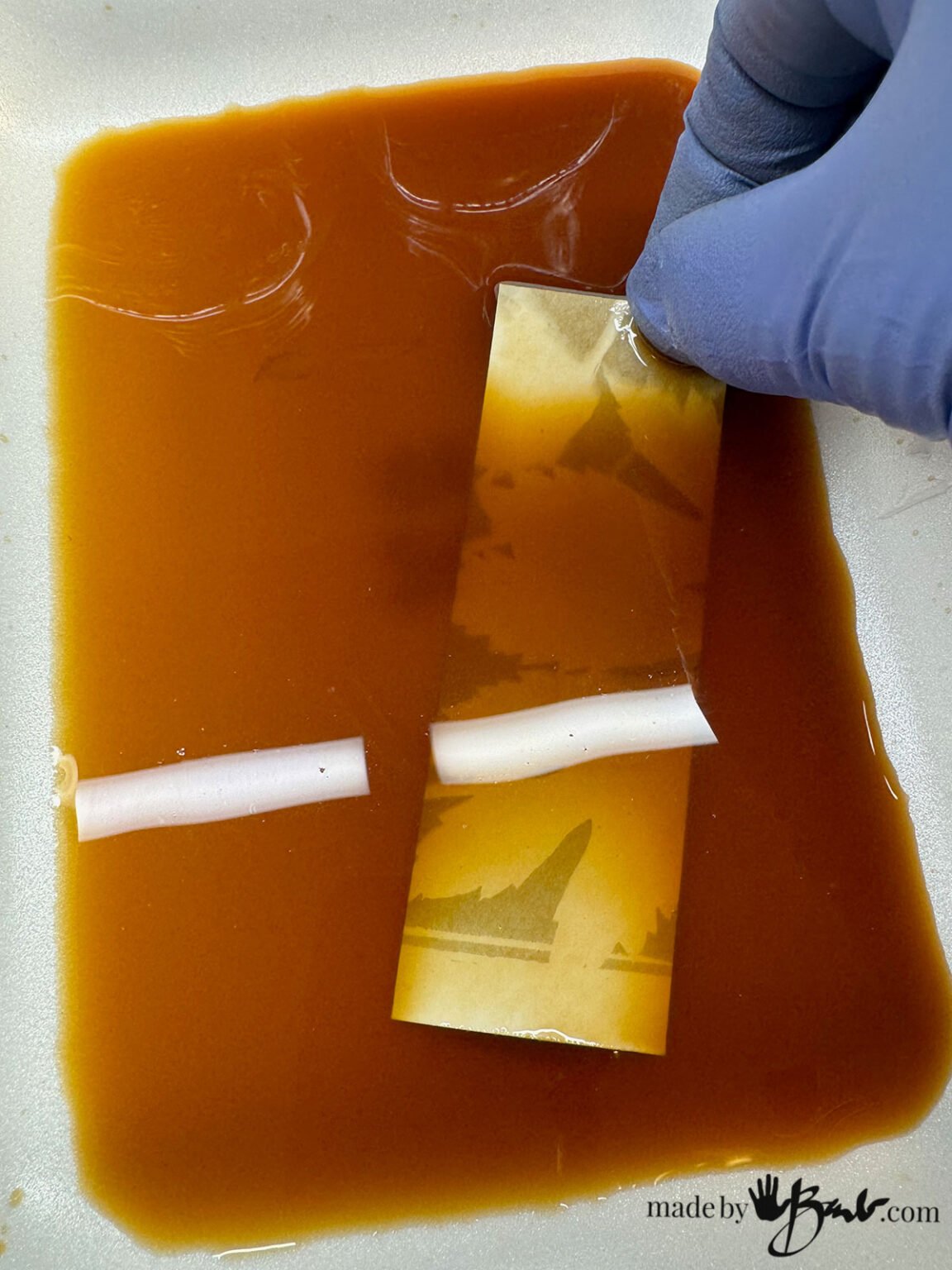 How to: Tone Cyanotypes with natural Tannins - MadeByBarb - print