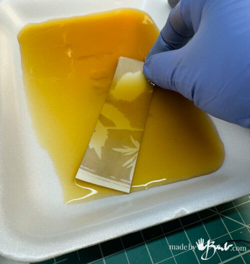 How to: Tone Cyanotypes with natural Tannins - MadeByBarb - print