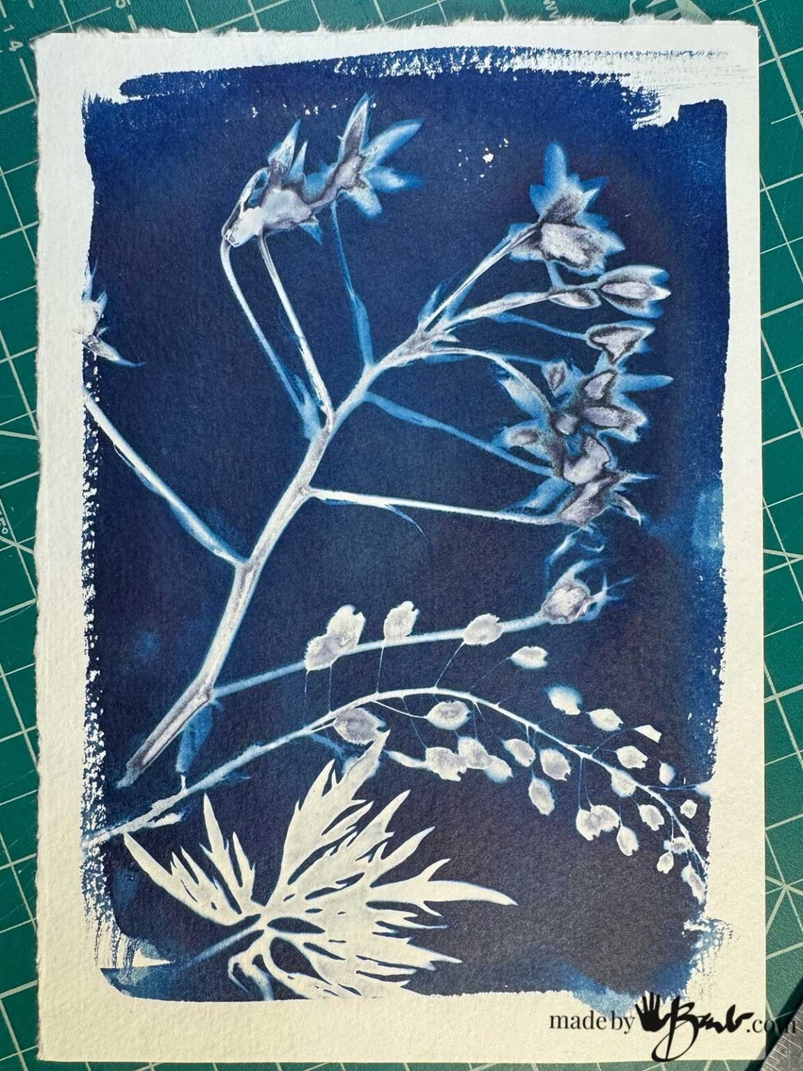 How to: Tone Cyanotypes with natural Tannins - MadeByBarb - print