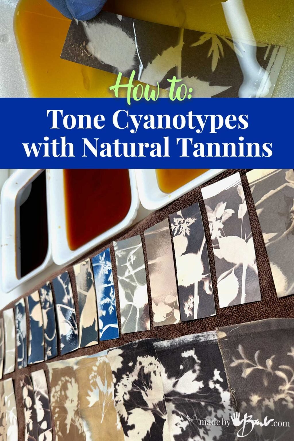 How to: Tone Cyanotypes with natural Tannins - MadeByBarb - print