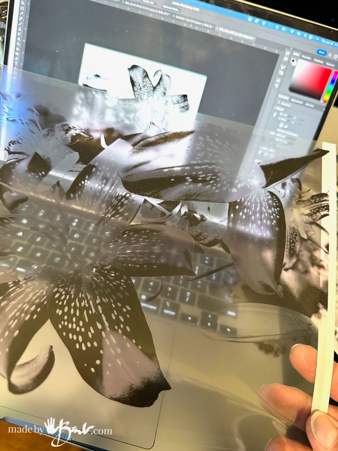 How to; Make your own Film Negatives for Cyanotype MadeByBarb