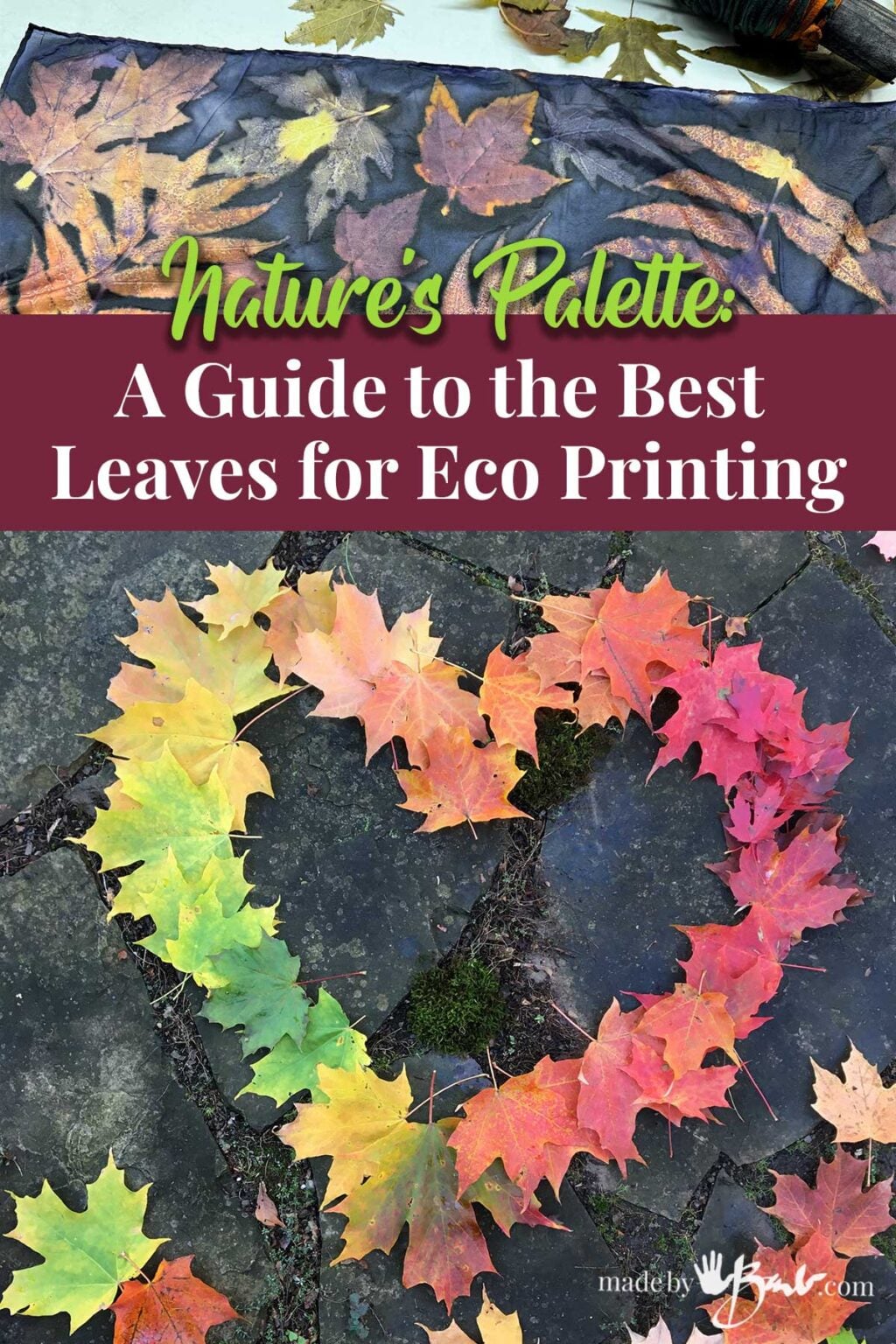 Nature's Palette; A Guide to the Best Leaves for Eco Printing - Barb