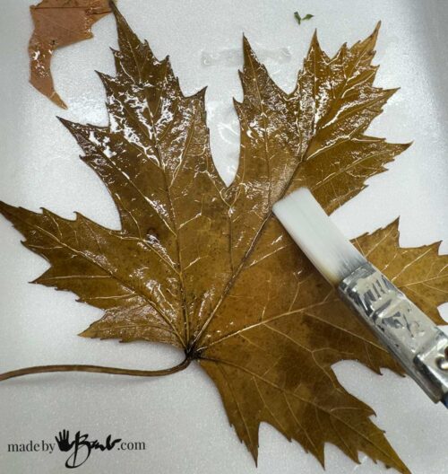 Quick Magical Bleach Printing with Leaves - Made By Barb - easy
