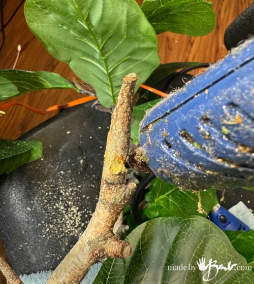 How to make a DIY Realistic Fiddle Leaf Fig Plant - Made By Barb