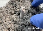 How to Make Paper Fibre Clay with Paper and Homemade Glue